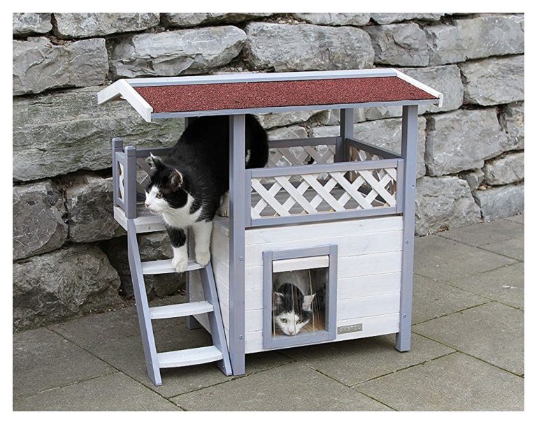 Maison de chat | LIVRAISON GRATUITE - Cattree.fr