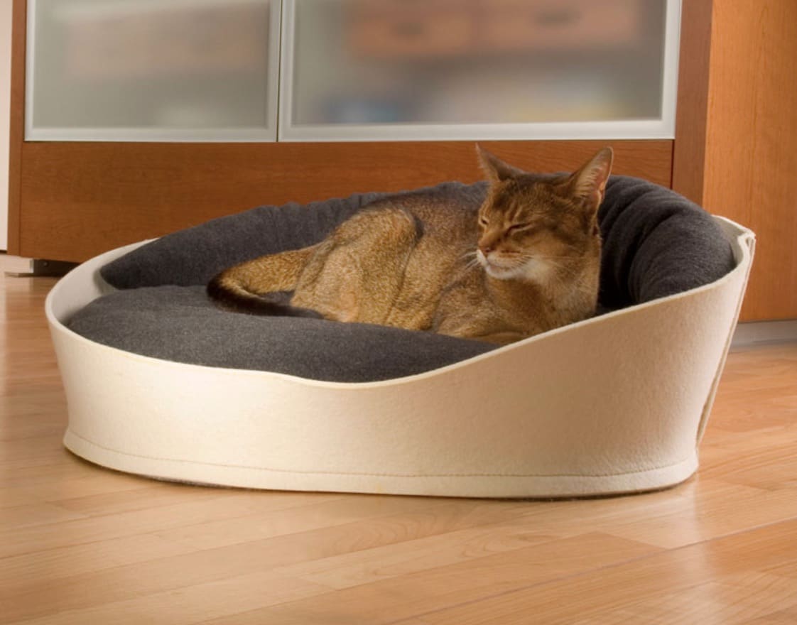 LIT DE LUXE POUR CHAT ARENA (FEUTRE) | LIVRAISON GRATUITE | Cat Tree FR