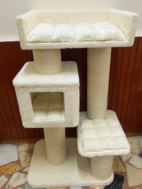 LA VERSION DELUXE 2023 DU DEVON REX | LIVRAISON GRATUITE | Cat Tree FR